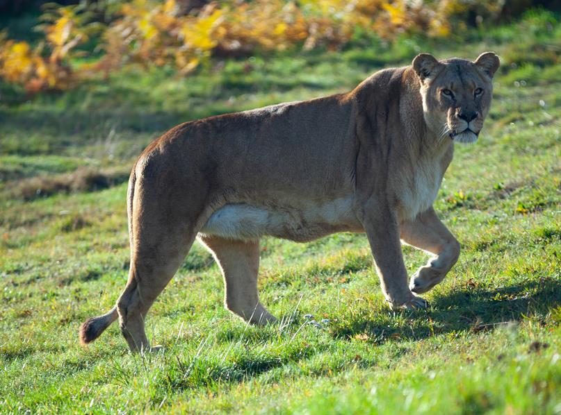Explore | Experience Bedfordshire
