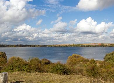 Forest of Marston Vale - Experience Bedfordshire