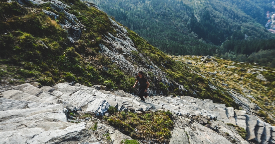 Vidden hike from Ulriken to Fløyen - visitBergen.com