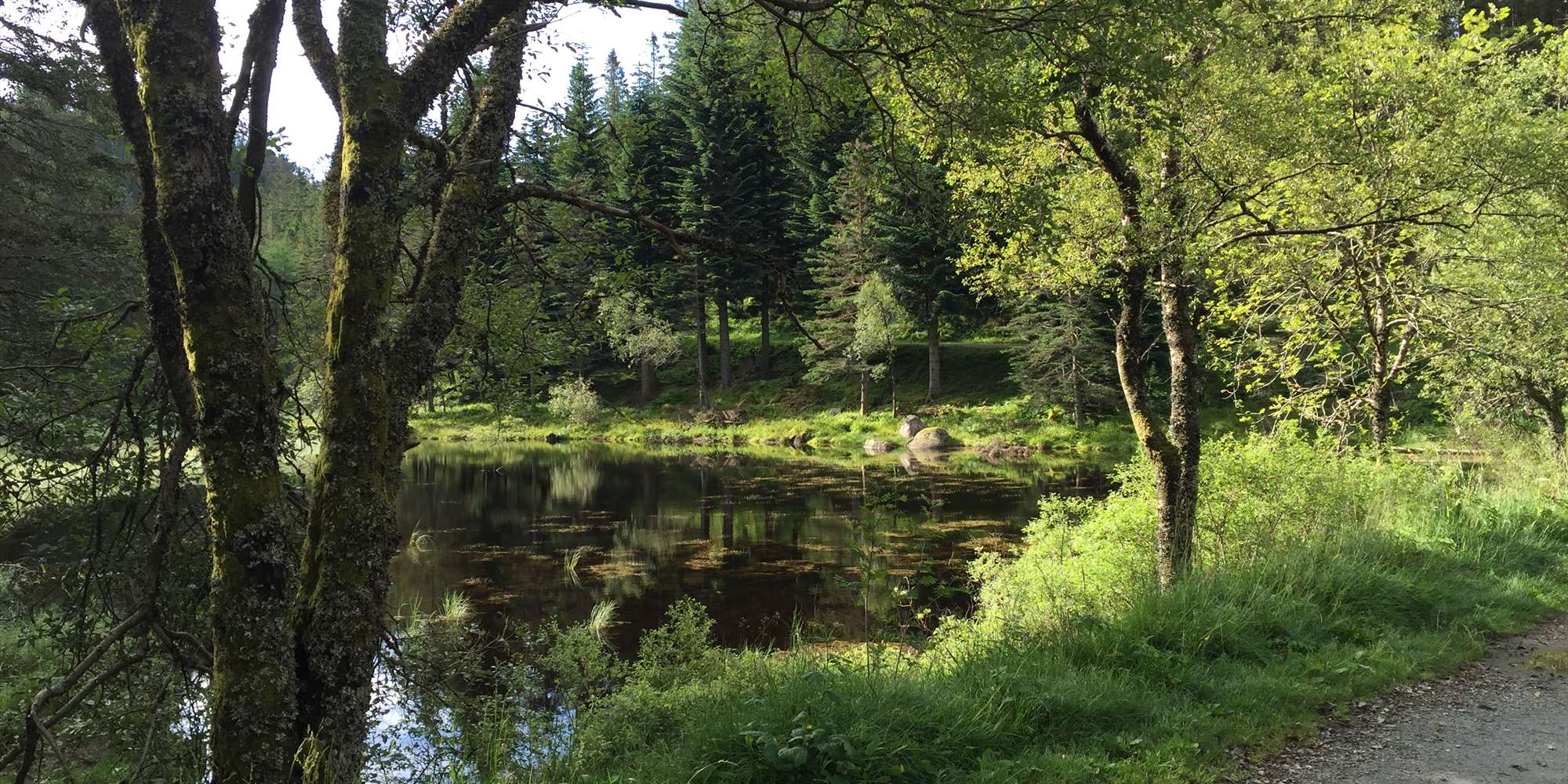 Stoltzekleiven - visitBergen.com