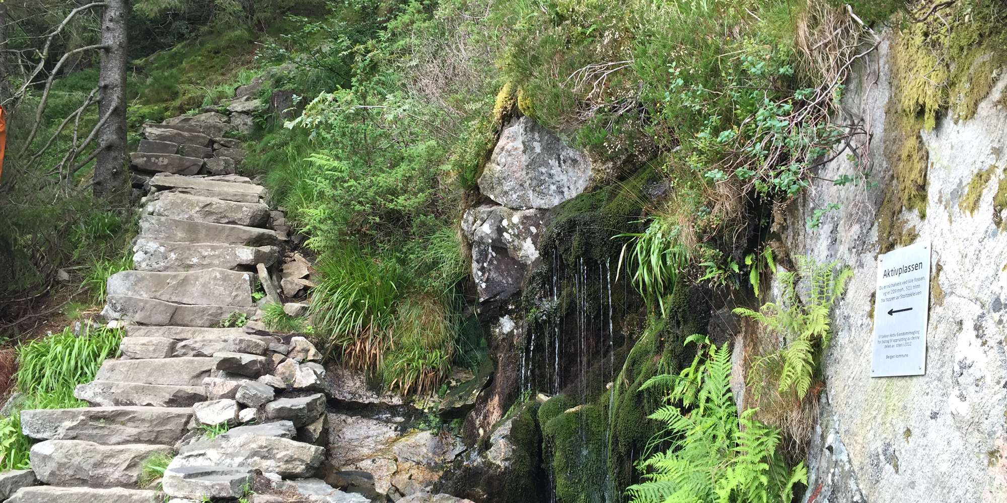 Stoltzekleiven - visitBergen.com