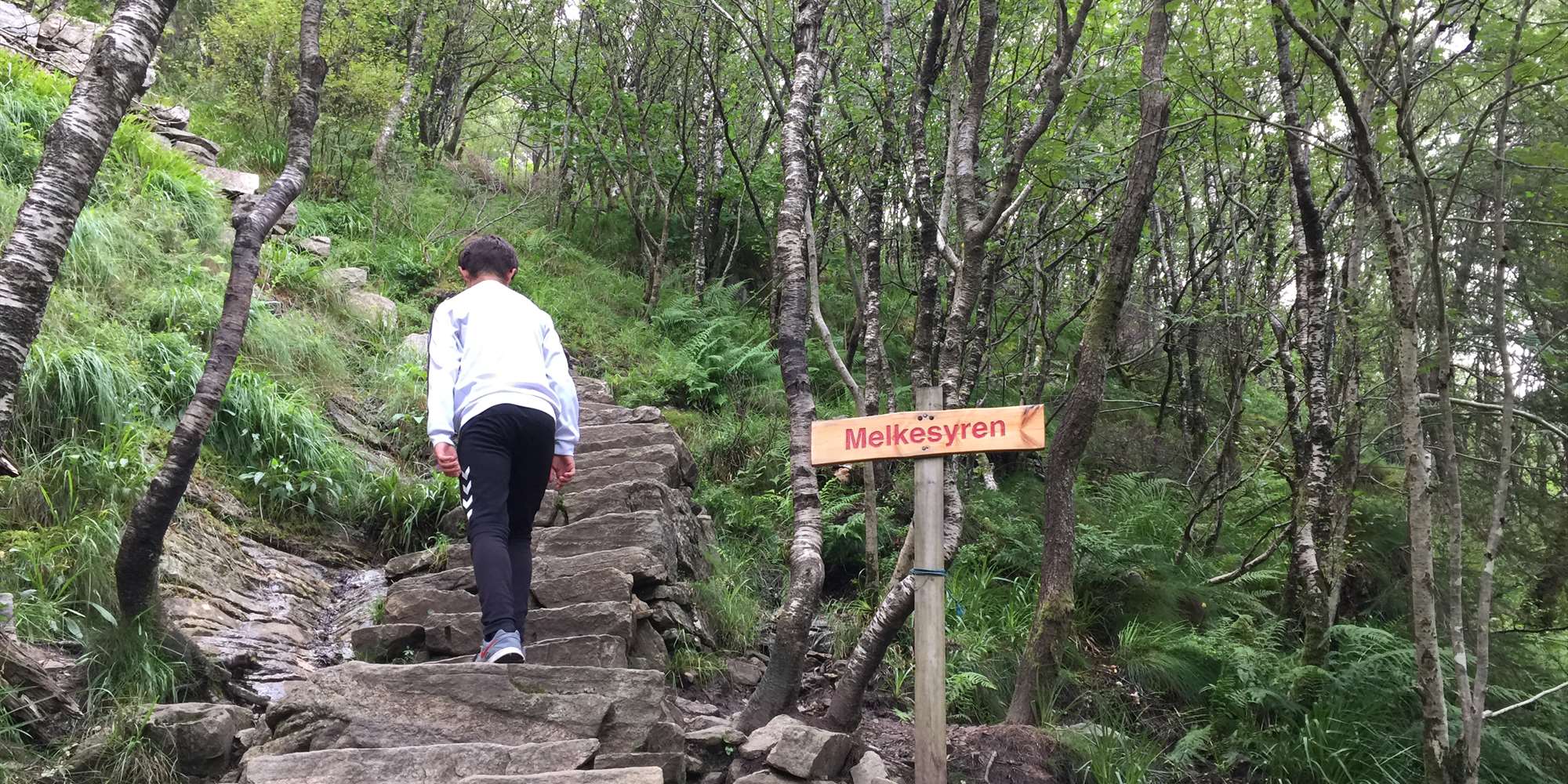 Stoltzekleiven - visitBergen.com