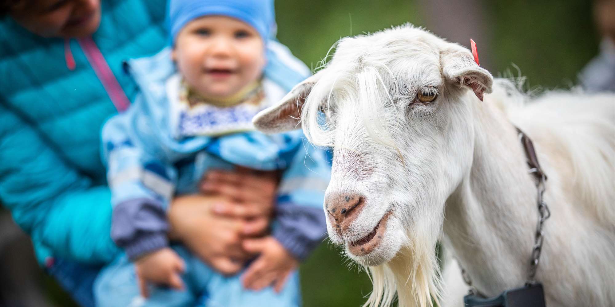 Fløibanen funicular - visitBergen.com