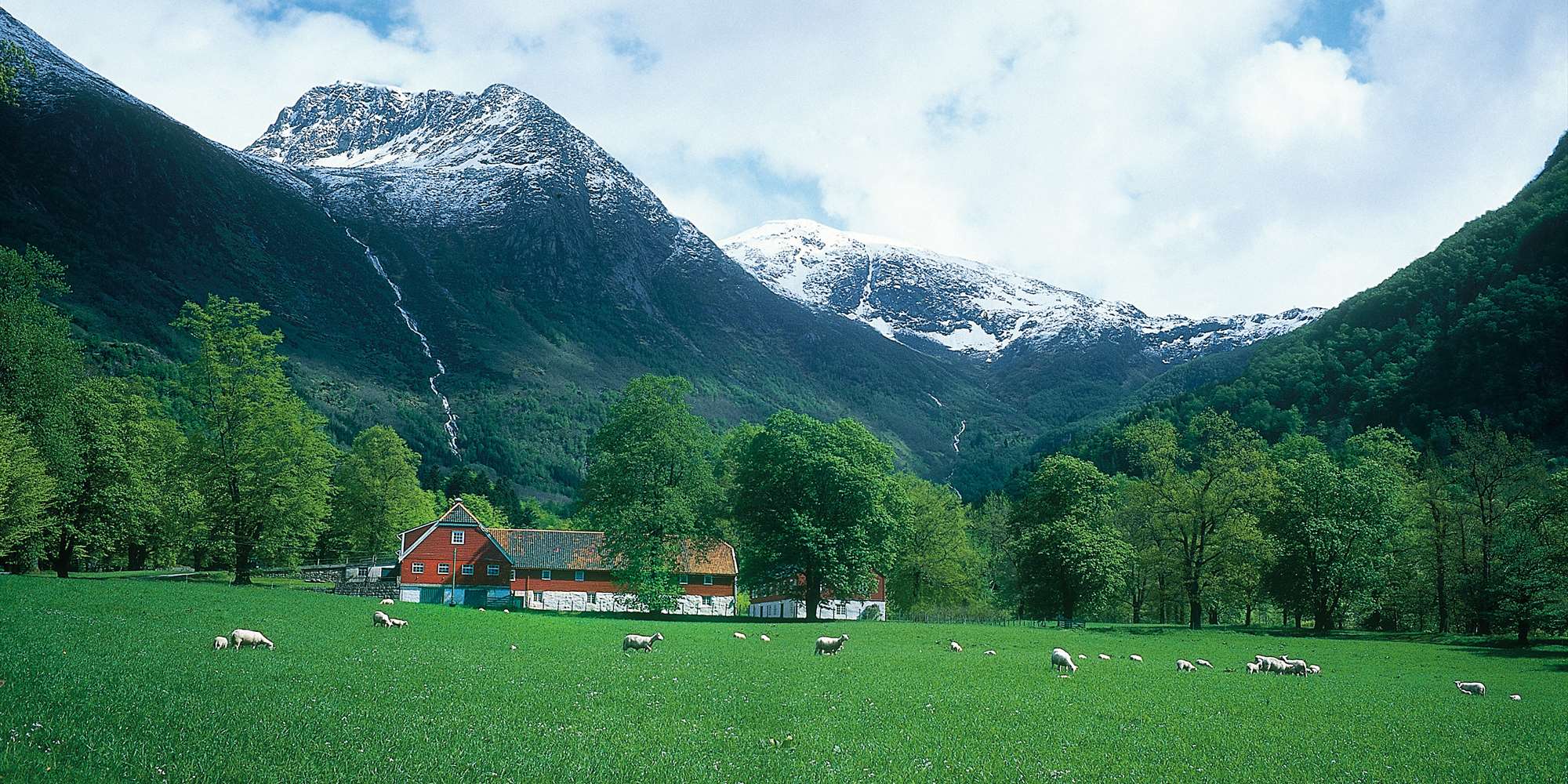 Båttur Bergen-Rosendal (tur-retur) med Hardangerfjordekspressen ...