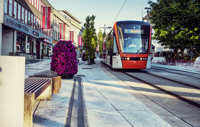 Public Transport in Bergen - visitBergen.com