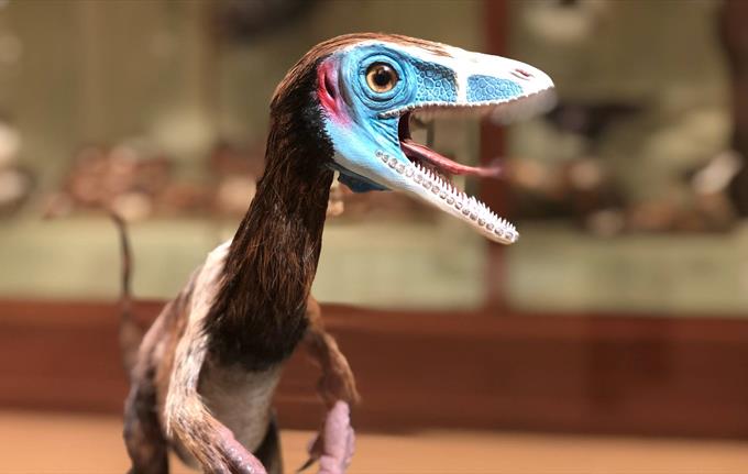 Family Friendly Attractions in Bergen - visitBergen.com