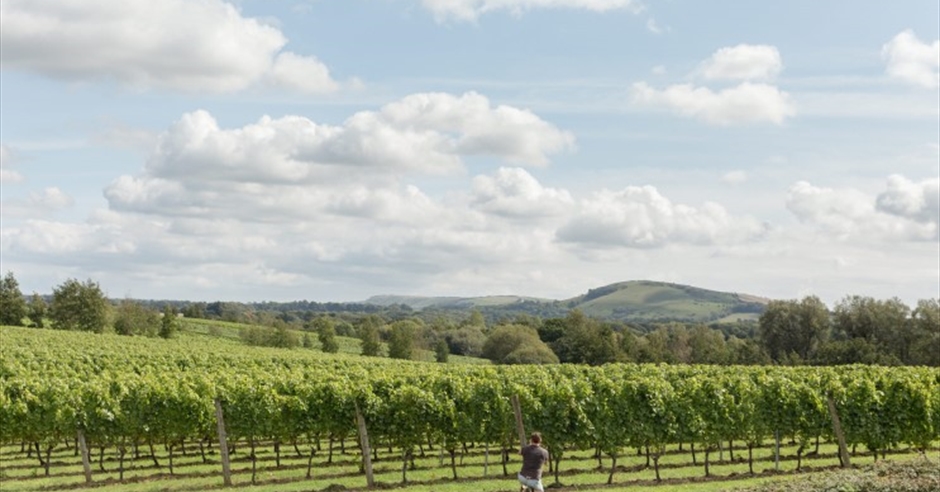 Albourne Estate - Visit Brighton