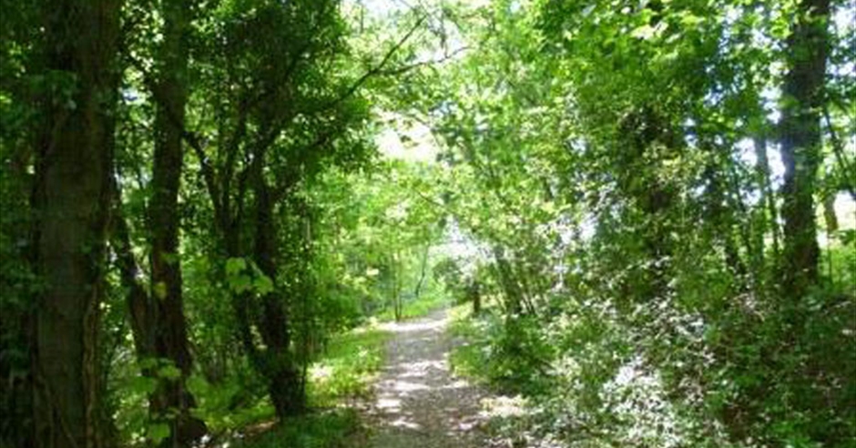 Stanmer Park - Visit Brighton