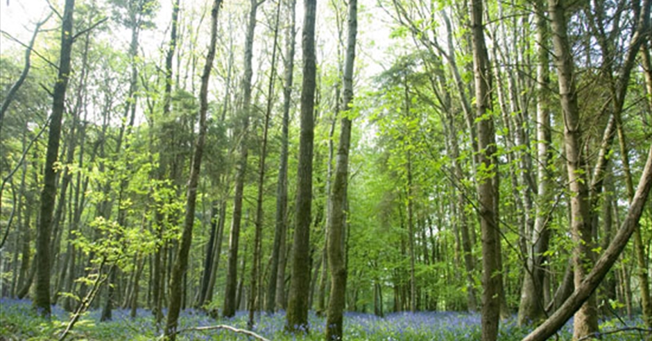 Stanmer Park - Visit Brighton