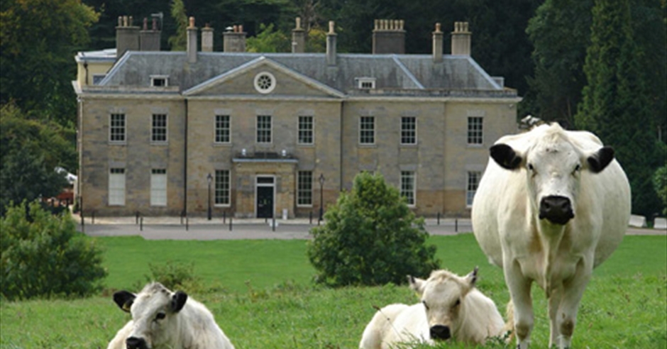 Stanmer Park - Visit Brighton