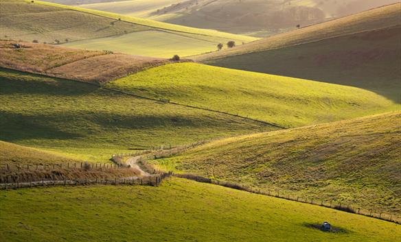 Attractions in Brighton | Sussex Attractions