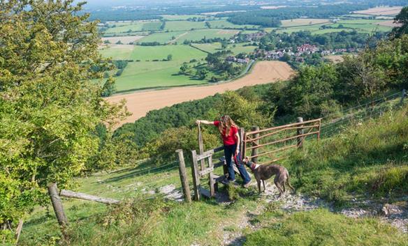 Walking Routes in Brighton | Sussex Hikes