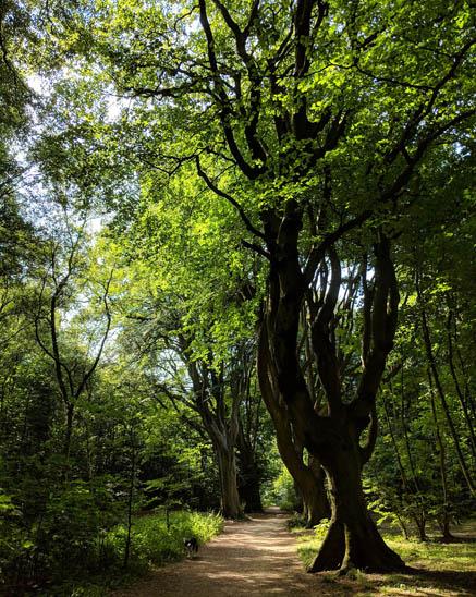 VisitBrighton: Brighton's official tourism site