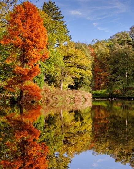 VisitBrighton: Brighton's official tourism site