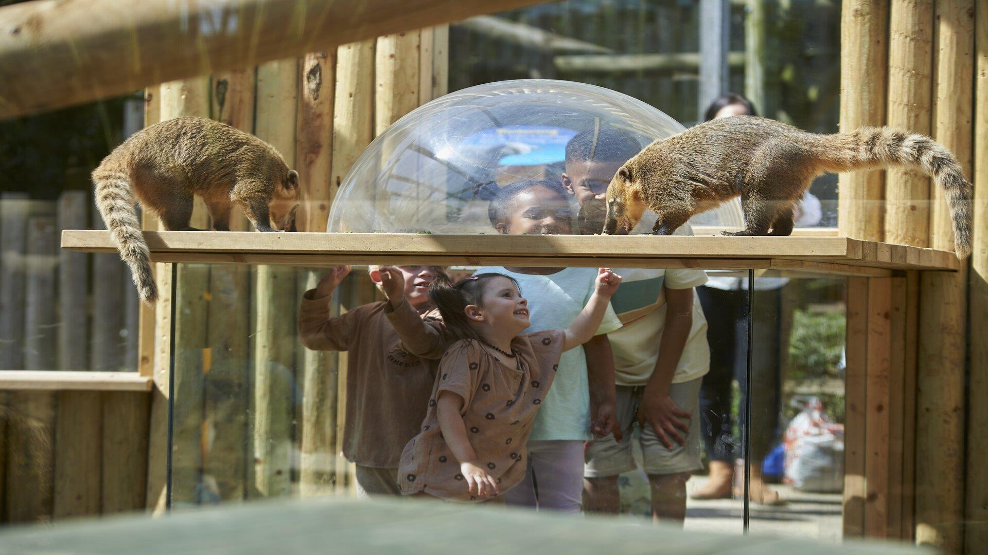 Half-Term Fun in Brighton - Visit Brighton