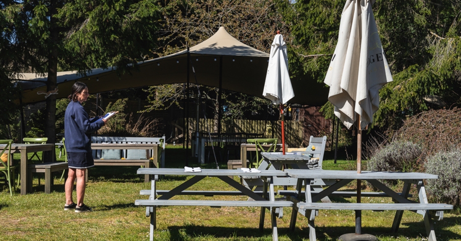 The Ginger Fox - Visit Brighton