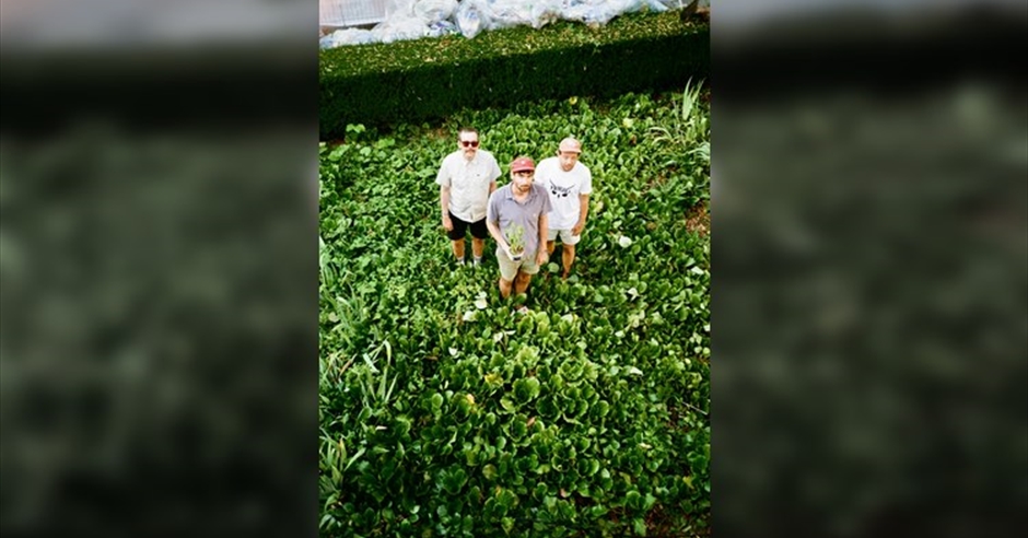 Orions Belte - Visit Brighton