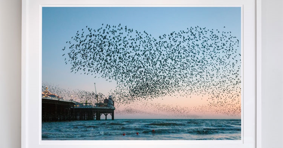 Brighton Photography - Art in Brighton , Brighton and Hove - Visit Brighton