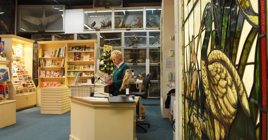 Booth Museum of Natural History - Visit Brighton