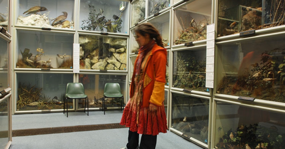 Booth Museum of Natural History - Visit Brighton