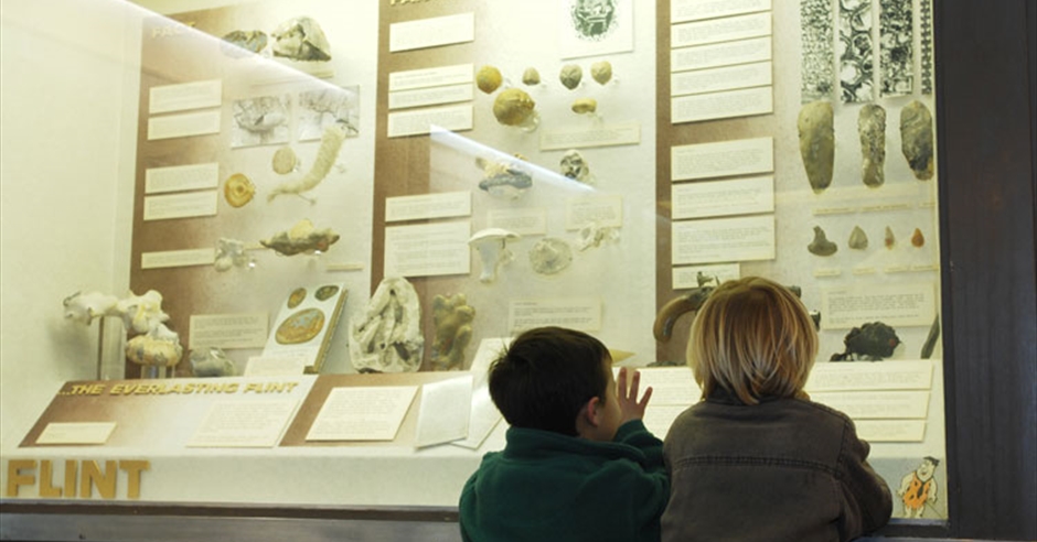 Booth Museum of Natural History - Visit Brighton