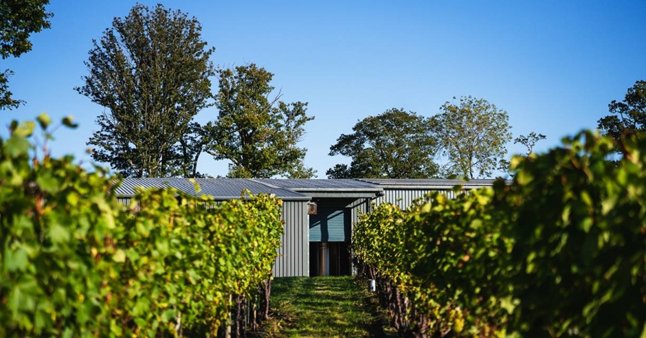 Ridgeview Wine Estate - Visit Brighton