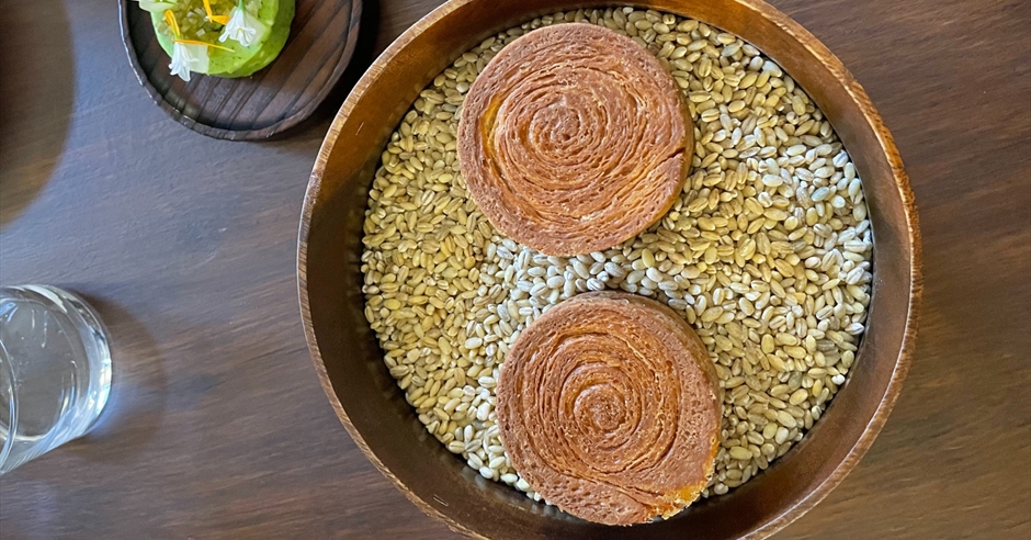 Dilsk - Visit Brighton