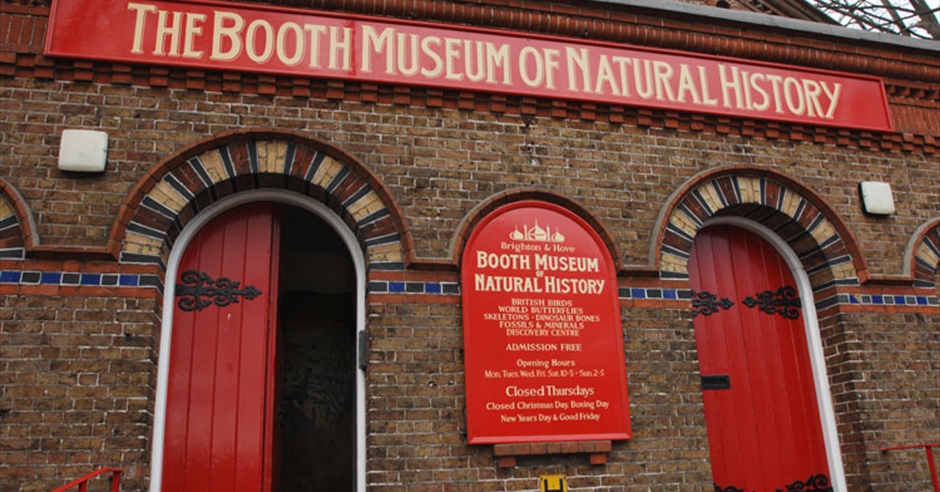 Booth Museum of Natural History - Visit Brighton