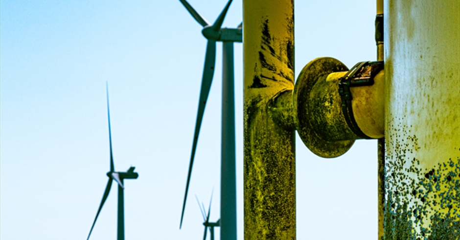 Brighton Wind Farm, Diving and Fishing Tours - Visit Brighton