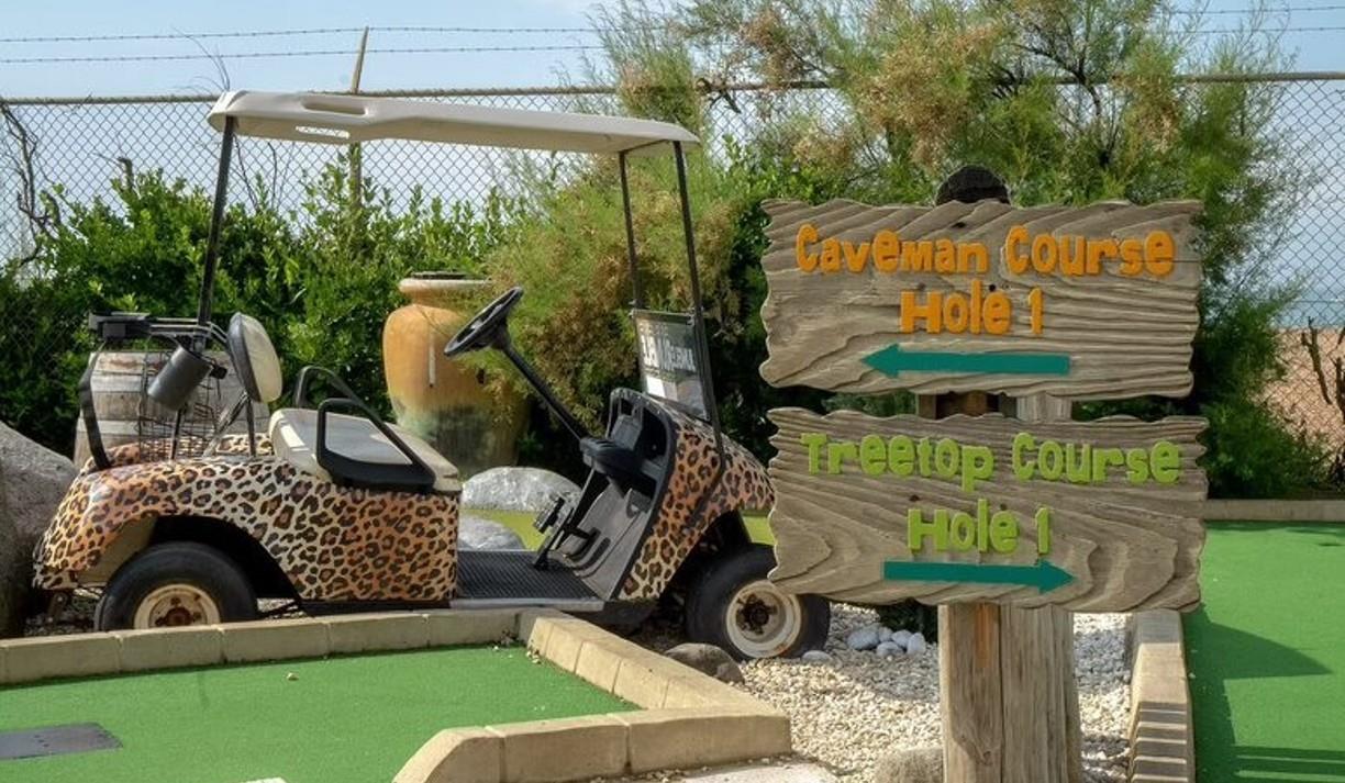 Jungle Rumble - Visit Brighton