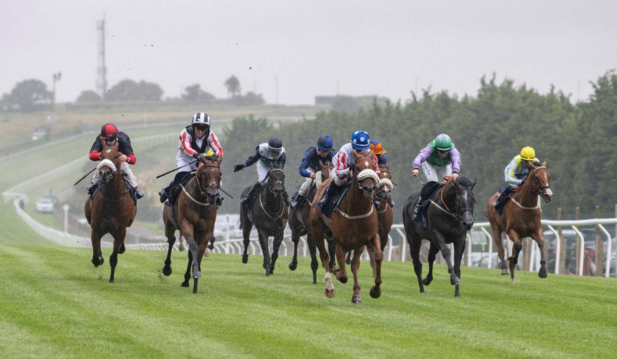 Brighton Racecourse - Visit Brighton