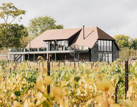 Things to Do in Brighton - VisitBrighton.com