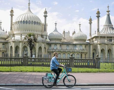 Things to Do in Brighton - VisitBrighton.com