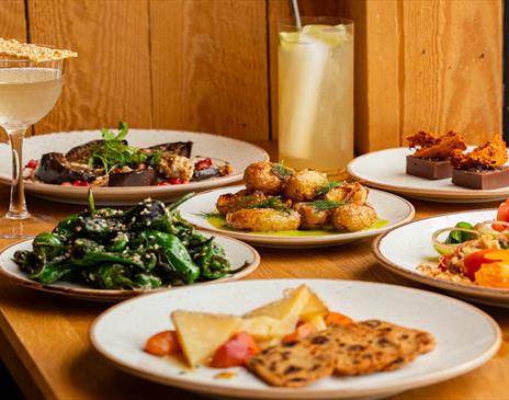 Brighton Pubs & Bars | Nightclubs in Brighton