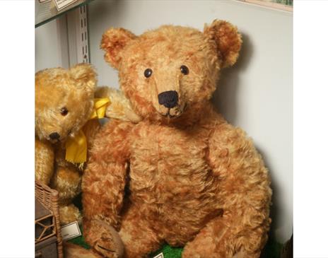 Things to Do in Brighton - VisitBrighton.com