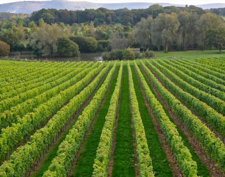 Things to Do in Brighton - VisitBrighton.com