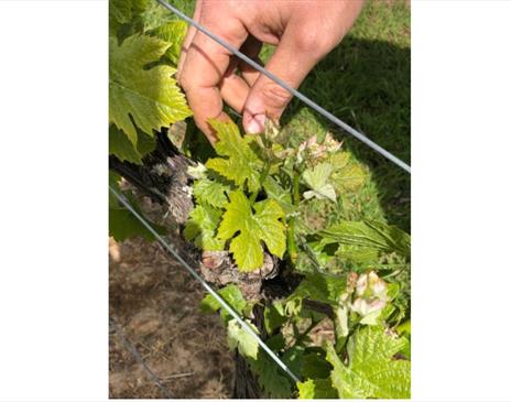 Things to Do in Brighton - VisitBrighton.com