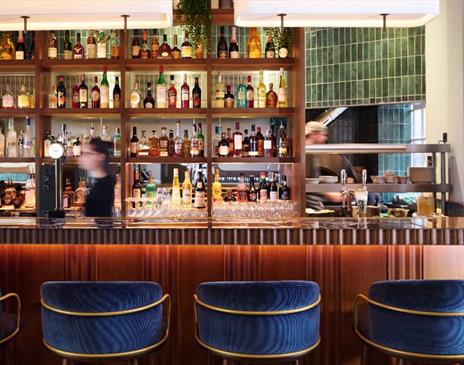 Brighton Pubs & Bars | Nightclubs in Brighton