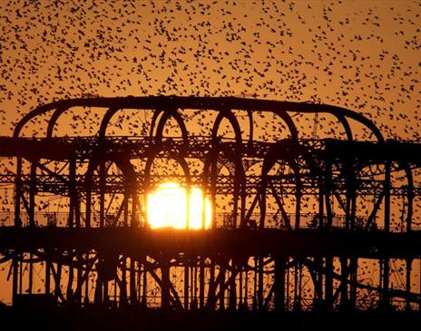 Things to Do in Brighton - VisitBrighton.com