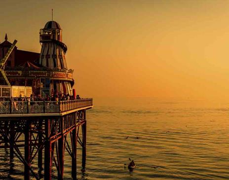 Brighton Seafront | Brighton Beachfront - Visit Brighton