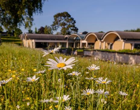 Things to Do in Brighton - VisitBrighton.com