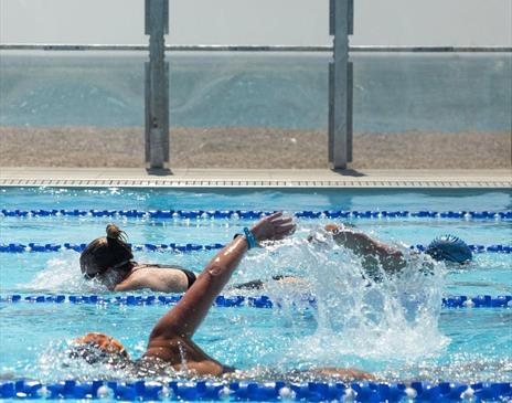 Things to Do in Brighton - VisitBrighton.com