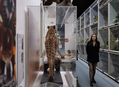 Booth Museum of Natural History - Visit Brighton