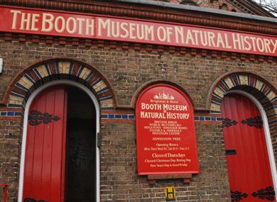 Booth Museum of Natural History - Visit Brighton