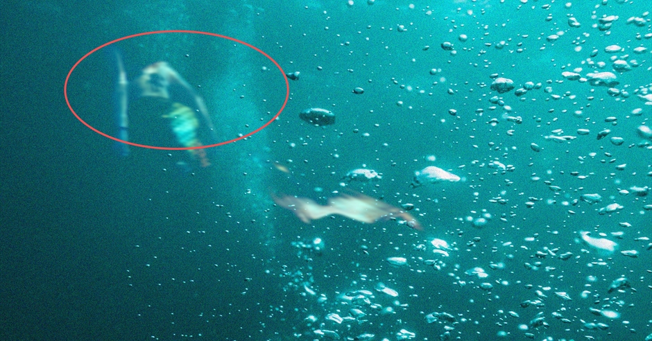 BREAKING: Strange Creature Sighted in Ballintoy Waters - Causeway Coast ...