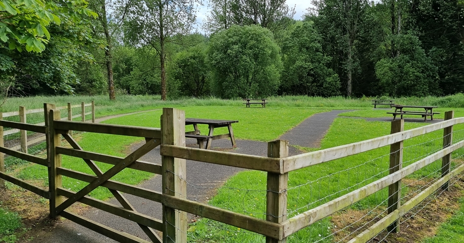 Somerset Forest - Coleraine - Causeway Coast & Glens