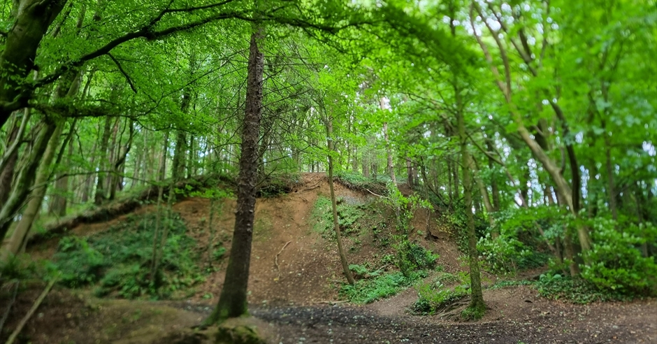 Somerset Forest - Coleraine - Causeway Coast & Glens