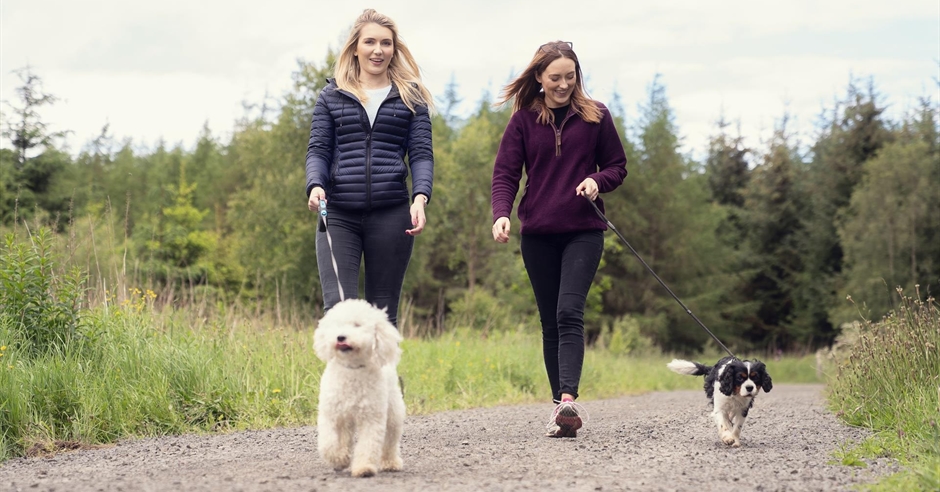 Garvagh Forest Trails - Garvagh - Causeway Coast & Glens