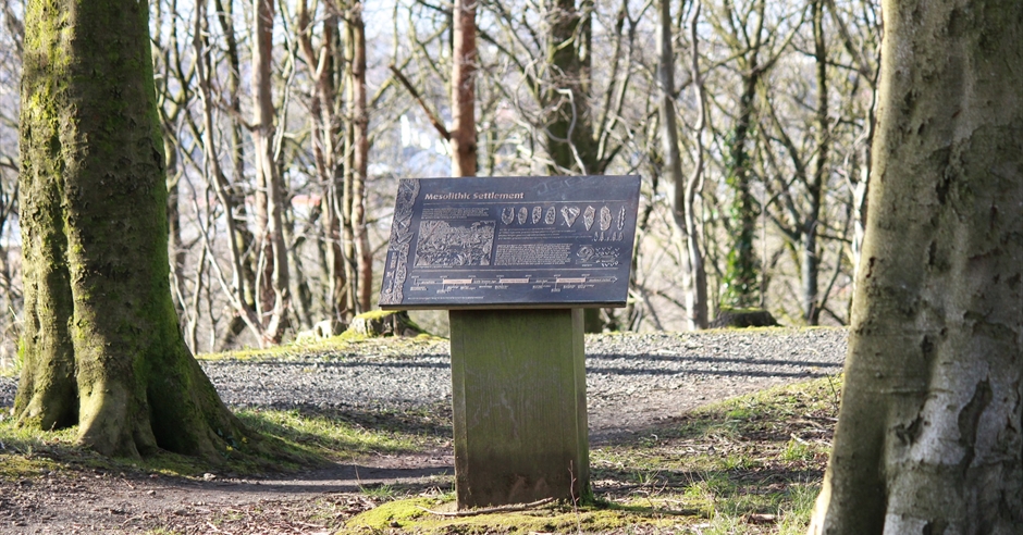 Mountsandel Wood - Coleraine - Causeway Coast & Glens