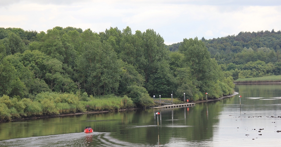 Mountsandel Wood - Coleraine - Causeway Coast & Glens